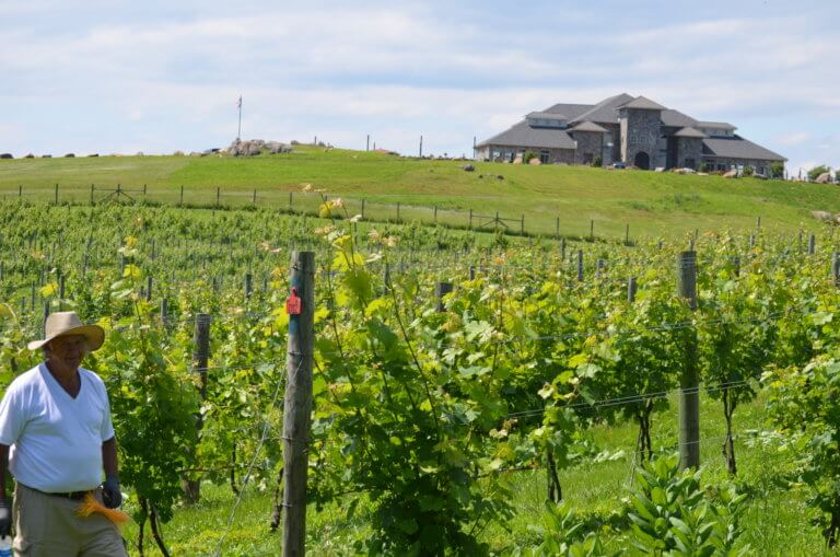 The Premier Virginia Vineyard & Winery Near DC for Weddings & Events ...